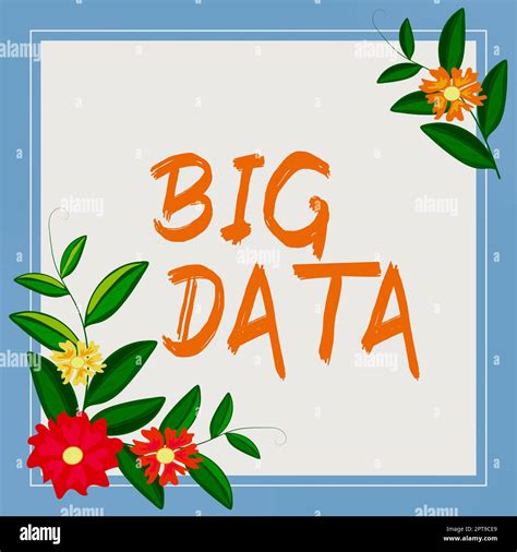 Conceptual Display Big Data Internet Concept Sets That So Complex That