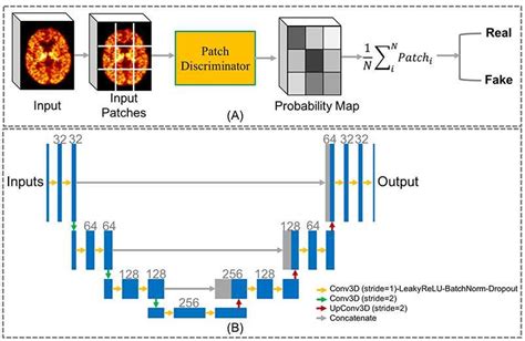 The D And The G In Our Gans A The Proposed 3d Patch Discriminator Download Scientific