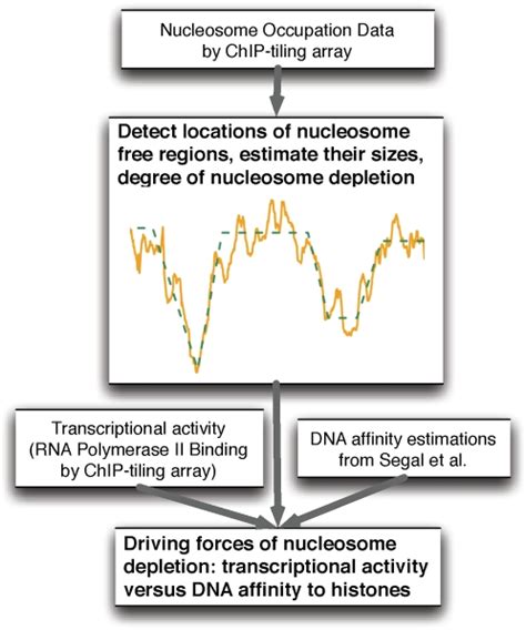 A Flow Chart Is Shown To Illustrate The Experimental And Computational