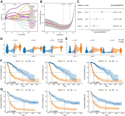 integrated clustering signature of genomic heterogeneity stemness and