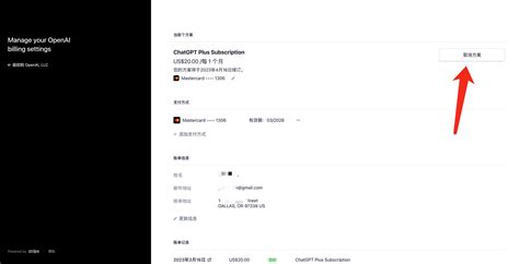 保姆级教程从零开通ChatGPT Plus 我不是咕咕鸽