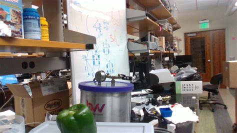 How To Use The Pepper Object Detection Api