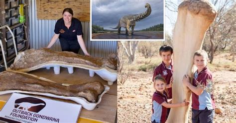 ကမ္ဘာပေါ်မှာ ရှာဖွေတွေ့ရှိဖူးသမျှ သတ္တဝါ ရုပ်ကြွင်းတွေထဲမှာ တစ်ခုအပါအဝင်ဖြစ်တဲ့ ဒိုင်နိုဆောရုပ်က