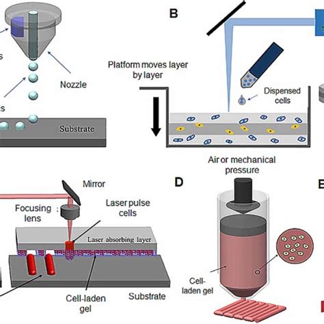 Schematic Representation Of Different Bioprinting Strategies A Download Scientific Diagram