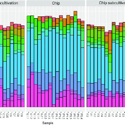 The Microbial Composition Of Different Cultivation Methods And The