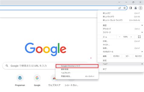 Seleniumbasicの操作（基礎編）第1回：seleniumbasic インストール Programan