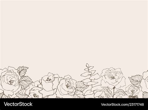 Floral Design Seamless Border Linear Roses Vector Image