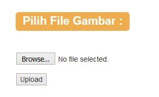 Membuat Script Php Upload File Dan Auto Rename Berdasarkan Id