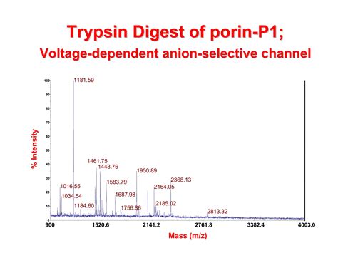 09 Maldi Tof Principal Of Mass Spectrometry Pdf Chemistry Science