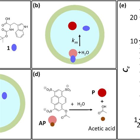 Confinement Effect Vs Curvature A Cryo Em Images The Central Download Scientific Diagram