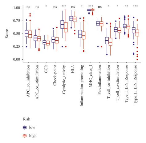 Immunity Analyses And Gene Expression A Relevant Functional Analysis Download Scientific