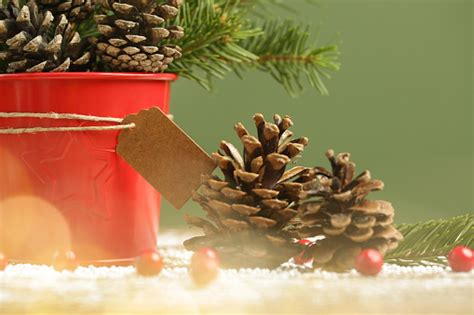 축제 자연 제로 폐기물 플라스틱무료 크리스마스 장식 전나무 가지 소나무 콘 붉은 열매로 만든 Diy 겨울 휴일 홈 장식 0명에