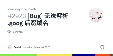 [bug] 无法解析 Goog 后缀域名 · Issue 2923 · Vernesong Openclash · Github