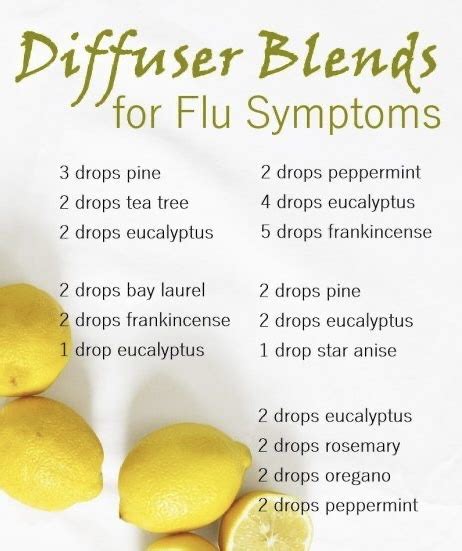 Well Oiled Intentions