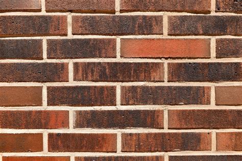 Modelli Ed Esempi Mappe Concettuali Canva Applicazione