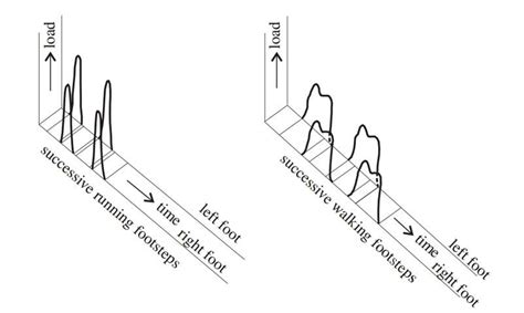 3d Vertical Grf Patterns For Walking And Running [4 5] Download Scientific Diagram