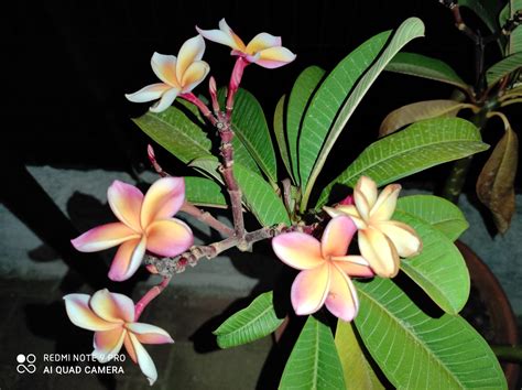 Foto Di Giusto Sciacchitano Ripost