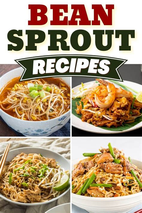 10 Bean Sprout Recipes That Showcase The Crunchy Superfood Recipe
