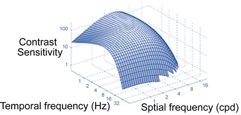 Visual Contrast Sensitivity And Acuity