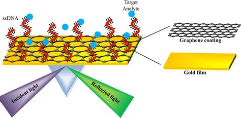Graphene Based Sensors Abstract Europe PMC