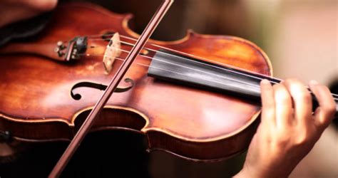 What Are Violin Strings Made Of Explained