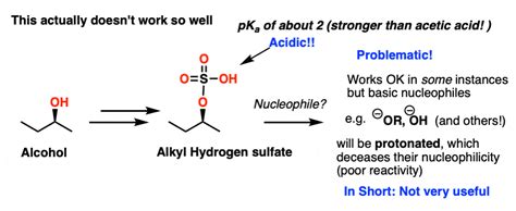 Sulfate Functional Group