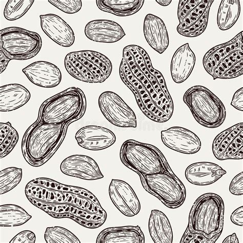 vector peanut shells and seeds seamless pattern stock vector