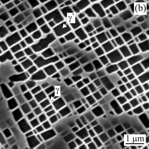 Solidification Behaviour Of Single Crystalline Nickel Based Superalloys
