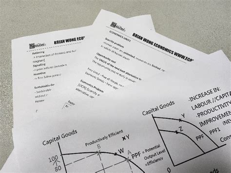 Igcse Economics Tutor Brian Wong International School Econ Tutorial