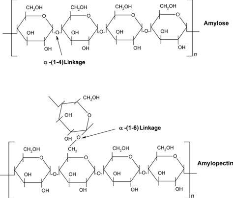 Glycogen Molecular Structure