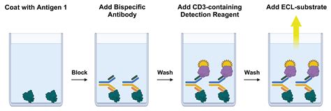 Bispecific Mesothelin Cd3 Bridging Chemiluminescence Elisa Kit Cd3 Mesothelin 82830
