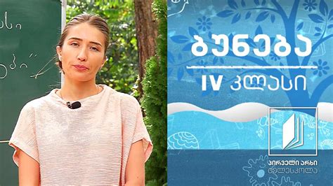 ბუნება IV კლასი ჰორიზონტის მხარეები ტელესკოლა TV