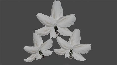 Lilly Flower Free Vr Ar Low Poly 3d Model Cgtrader