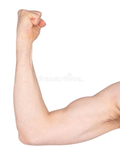 Male Arm Shows Biceps Stock Image Image Of Healthy