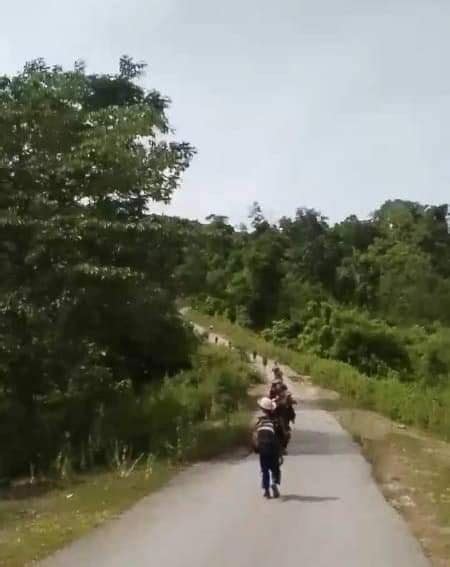 မင်းလှ တိုက်ပွဲအတွင်း အထိနာခဲ့သည့်အတွက် စစ်ကောင်စီက Pdf ယာယီစခန်းကိုရဟတ