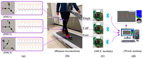 walking gait phase detection based on acceleration signals using lstm