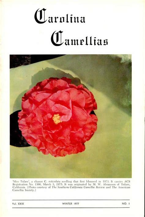 Sccs Journals 1977