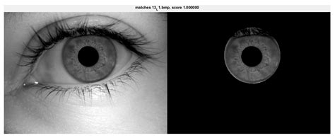 Eng Free Full Text Real Time Human Authentication System Based On Iris Recognition