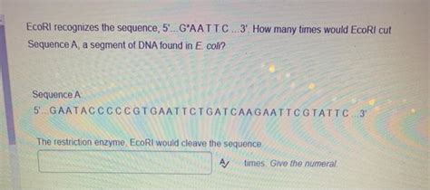 Solved Ecori Recognizes The Sequence 5 Gaattc 3 How