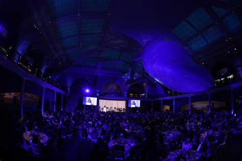 Catholic Charities 14th Annual Gala Catholic Charities Of New York