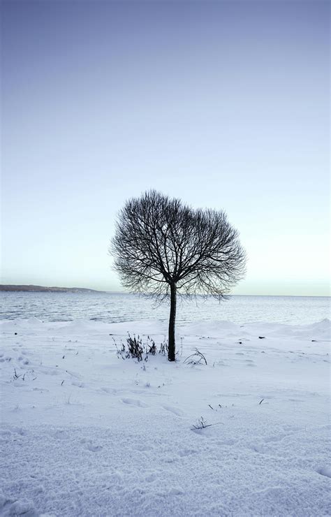 각 개인 거친 경치 경치가 좋은 고독 고독한 고립된 구름 그레이 스케일 사진 그레이스케일 남자 니콘 드라마틱한 들판 맨몸의 미니멀리스트