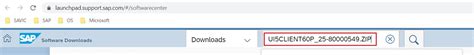 Sap Ui5 160 Patch Upgrade Abap Sap Community