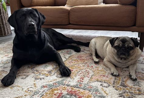 We Had To Re Take The First Photo To Have A Current One I Love My