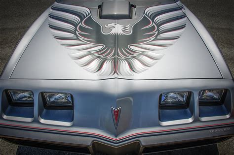 1979 Pontiac Trans Am Hood Firebird 0812c By Jill Reger