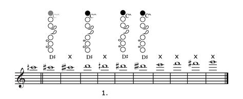 The Kingma System Alto Flute A Practical Guide For Composers And