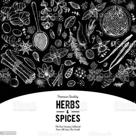 허브와 향신료 손으로 그린 벡터 일러스트레이션 향기로운 식물 손으로 그린 음식 스케치 패키지에 적합합니다 빈티지 일러스트레이션 카드 디자인 스케치 스타일입니다 향신료와 허브