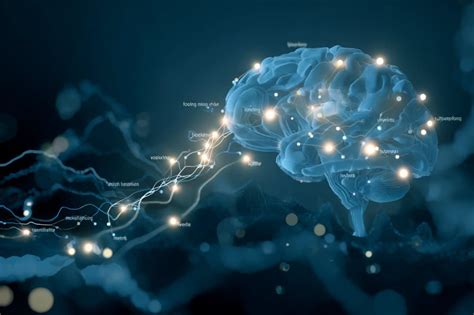 Brain Decodes Visual Memories By Timing Not Just Firing Neurons Lifeboat News The Blog