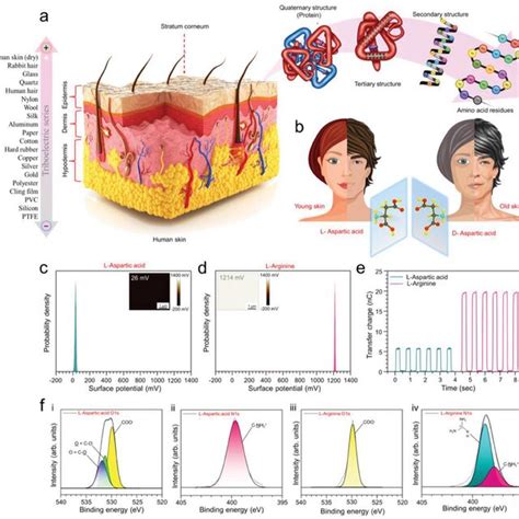Characterization And Triboelectric Quantification Of Human Skin