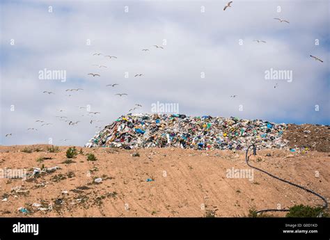Environmental Hygiene Problems Hi Res Stock Photography And Images Alamy