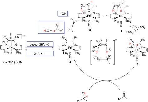 Proposed Catalytic Cycle Download Scientific Diagram